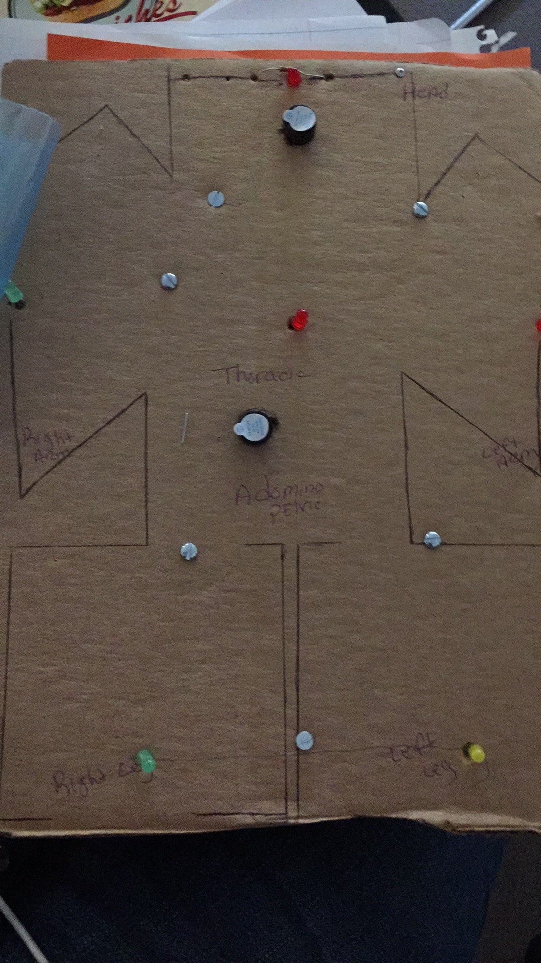 The Electric Human – Teachers Institute of Philadelphia